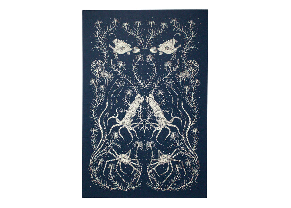 Deep Sea Ecosystem Poster – Fennec Design