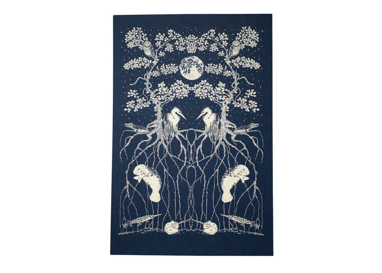 Mangrove Ecosystem Poster – Fennec Design