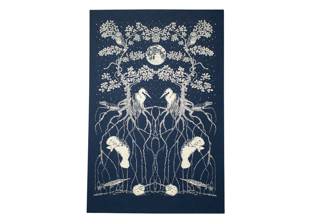 Mangrove Ecosystem Poster – Fennec Design